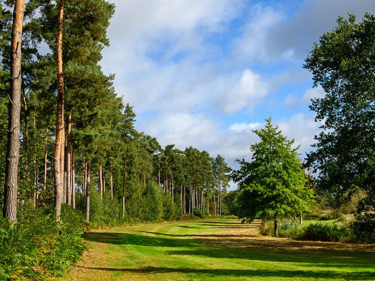 Marks Hall | garten.ch